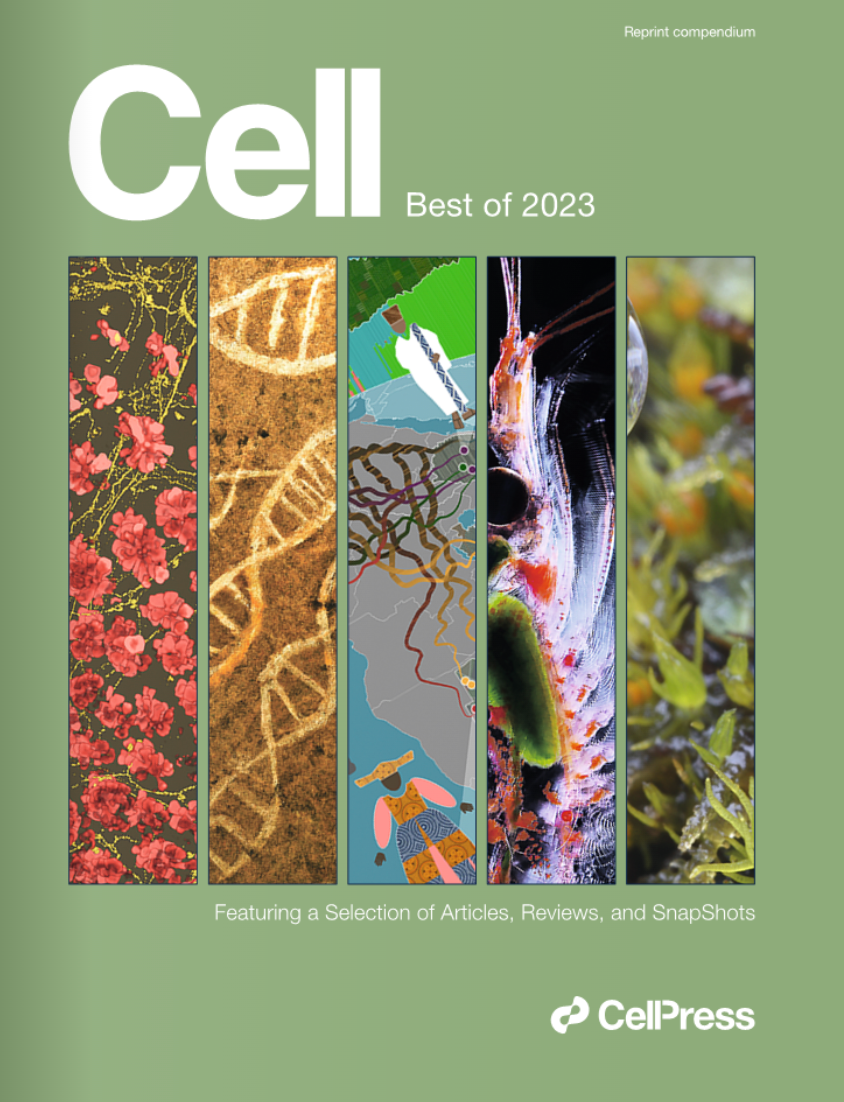 年度最佳Cell综述：首次创造性提出衰老的十二个标志医药新闻-ByDrug-一站式医药资源共享中心-医药魔方