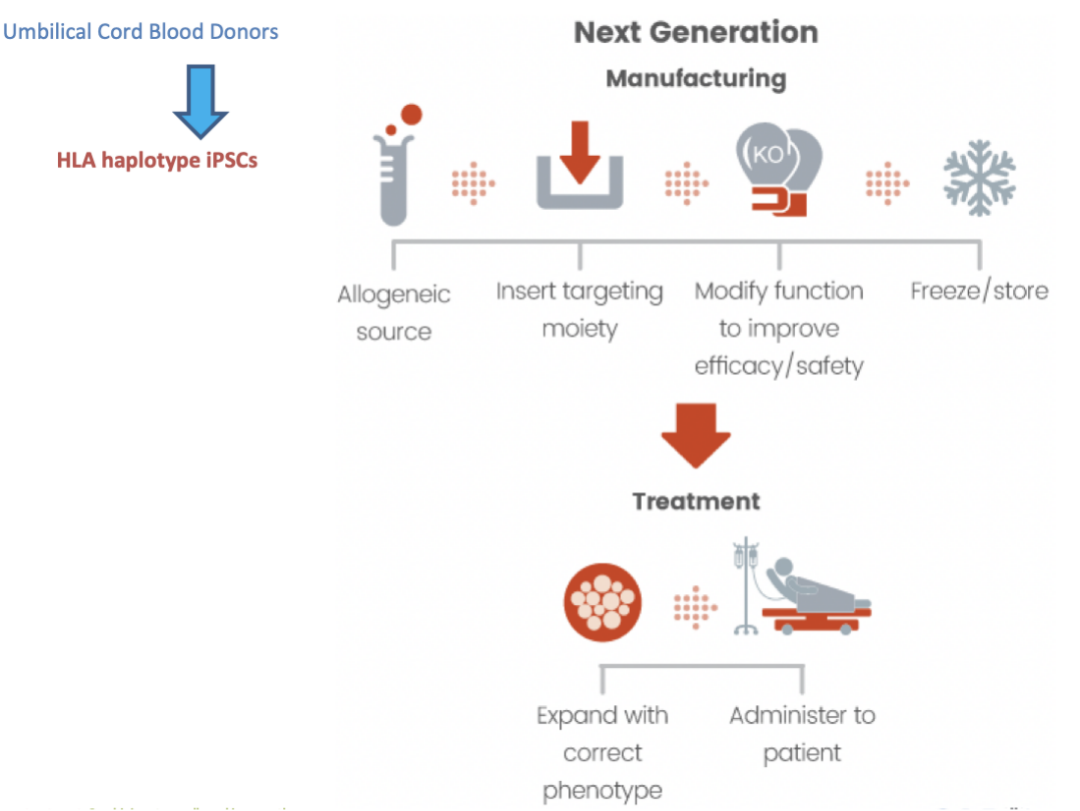 CAR-NK治疗卵巢癌又有新进展，新药pre-IND会议获FDA积极反馈医药新闻-ByDrug-一站式医药资源共享中心-医药魔方