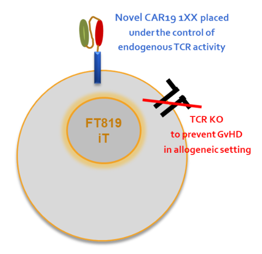 iPSC衍生CAR-T细胞治疗红斑狼疮Ⅰ期临床数据发布医药新闻-ByDrug-一站式医药资源共享中心-医药魔方