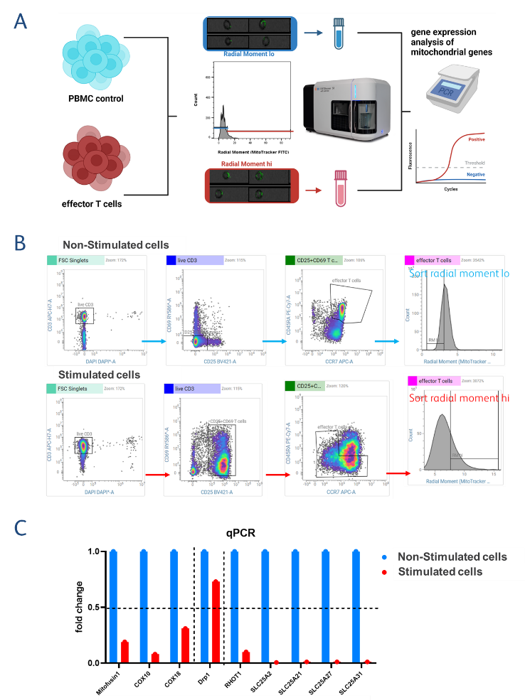 BD FACSDiscover™ S8 揭示线粒体动态过程，助力衰老、肿瘤等机制研究医药新闻-ByDrug-一站式医药资源共享中心-医药魔方