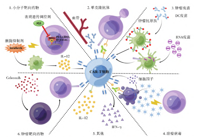 CAR-T细胞治疗实体瘤的挑战与应对策略医药新闻-ByDrug-一站式医药资源共享中心-医药魔方