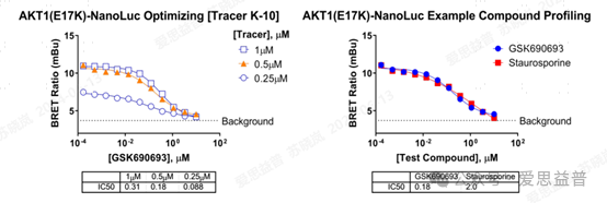 AKT抑制剂研究进展及筛选策略医药新闻-ByDrug-一站式医药资源共享中心-医药魔方
