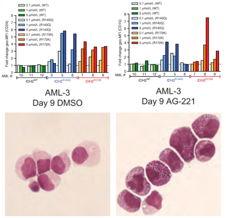 当肿瘤代谢遇见表观遗传调控—IDH突变肿瘤的靶向治疗(三)医药新闻-ByDrug-一站式医药资源共享中心-医药魔方