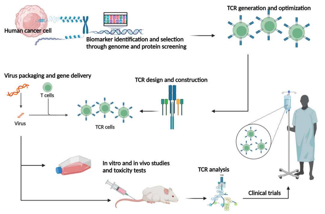 TCR疗法行业研究报告医药新闻-ByDrug-一站式医药资源共享中心-医药魔方