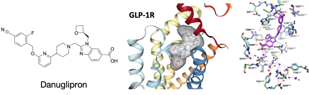 辉瑞终止第二款小分子GLP-1激动剂临床开发医药新闻-ByDrug-一站式医药资源共享中心-医药魔方