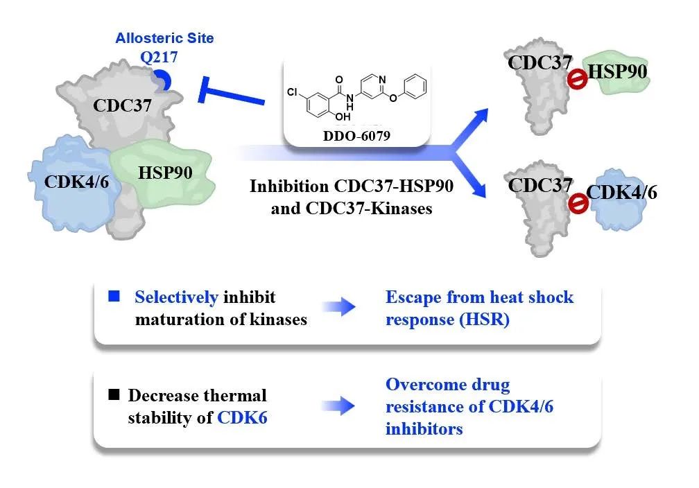 专访中国药科大学王磊 | 靶向分子伴侣复合物体系：突破传统局限，开发潜力FIC药物医药新闻-ByDrug-一站式医药资源共享中心-医药魔方