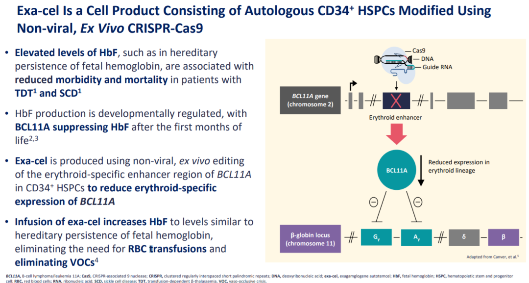 CRISPR/Cas9基因编辑疗法获FDA批准治疗β地中海贫血医药新闻-ByDrug-一站式医药资源共享中心-医药魔方