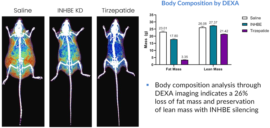 siRNA减肥药的探索之路医药新闻-ByDrug-一站式医药资源共享中心-医药魔方