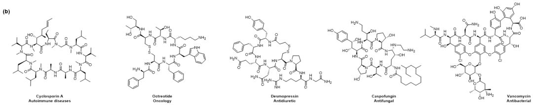 DEL for大环化合物医药新闻-ByDrug-一站式医药资源共享中心-医药魔方