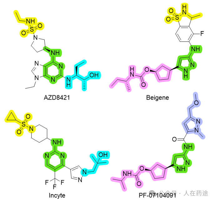 AACR24 | CDK2抑制剂AZD8421结构首次公开医药新闻-ByDrug-一站式医药资源共享中心-医药魔方