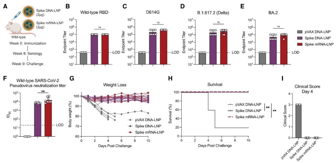Cell Rep Med | DNA疫苗新突破！新型DNA-LNP递送技术实现长效免疫医药新闻-ByDrug-一站式医药资源共享中心-医药魔方