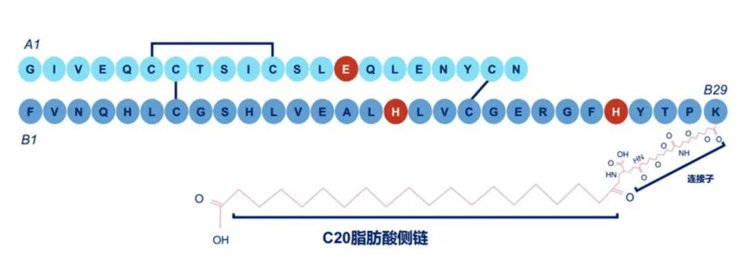 派金生物：依柯胰岛素周制剂API布局医药新闻-ByDrug-一站式医药资源共享中心-医药魔方