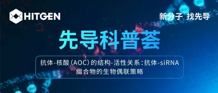 先导科普荟 | 抗体-核酸（AOC）的结构-活性关系：抗体-siRNA缀合物的生物偶联策略医药新闻-ByDrug-一站式医药资源共享中心-医药魔方