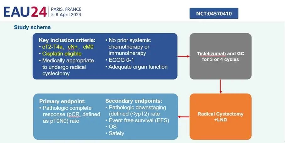 EAU24中国之声|吕强教授团队：替雷利珠单抗联合化疗新辅助治疗临床淋巴结阳性（cN+） 膀胱癌最新疗效数据公布医药新闻-ByDrug-一站式医药资源共享中心-医药魔方