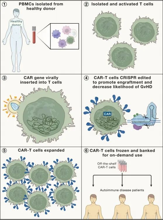 “CAR-T之父”Carl June教授Cell发文，高度点评邦耀生物UCAR-T治疗自免疾病研究成果医药新闻-ByDrug-一站式医药资源共享中心-医药魔方