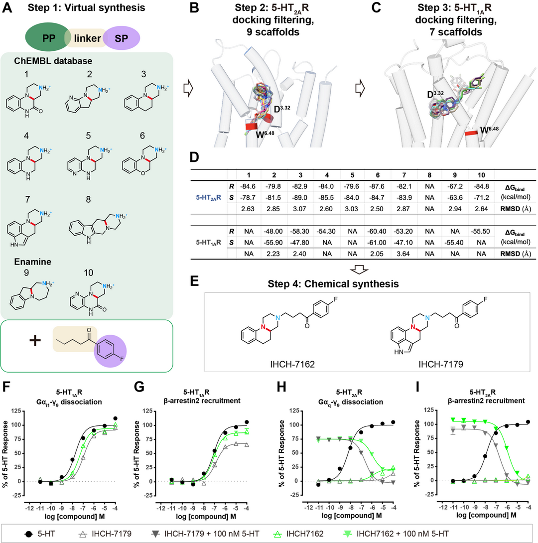 Cell文章：汪胜组联合多团队提出多靶点、多功效药物设计新理念（FSCA）医药新闻-ByDrug-一站式医药资源共享中心-医药魔方