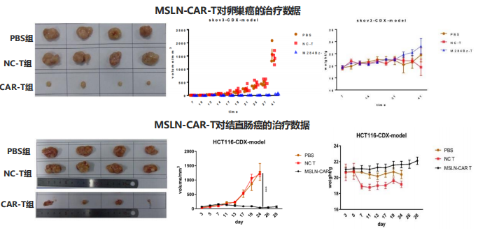 怡豪生物：首款MSLN CAR-T国内获批临床医药新闻-ByDrug-一站式医药资源共享中心-医药魔方