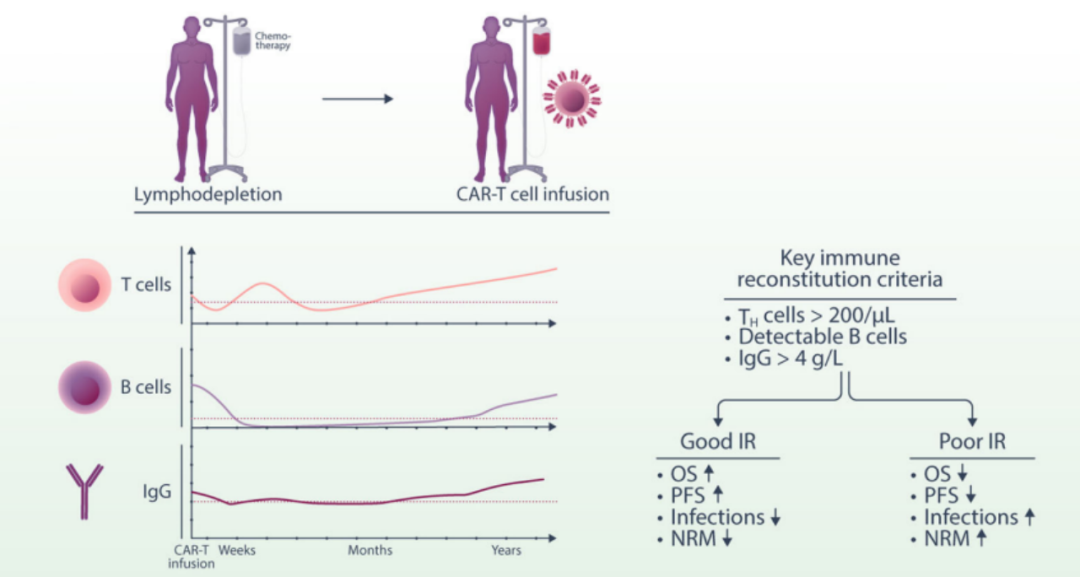 CD19 CAR-T细胞治疗复发/难治性B细胞淋巴瘤后免疫重建对预后的影响医药新闻-ByDrug-一站式医药资源共享中心-医药魔方