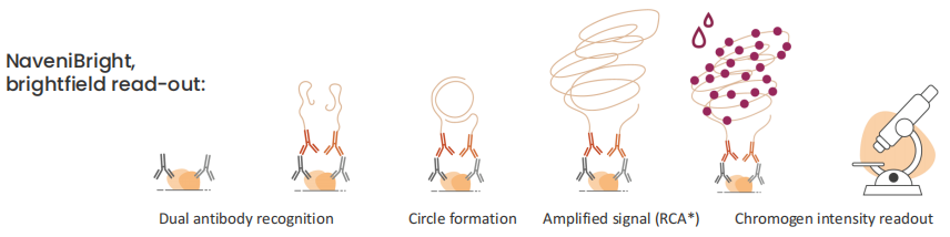 Navinci与Leica Biosystems携手：首次实现全自动原位PLA分析医药新闻-ByDrug-一站式医药资源共享中心-医药魔方