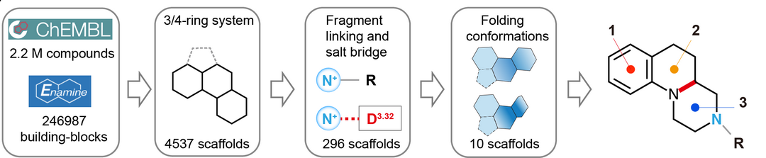 Cell｜汪胜组联合多团队提出多靶点、多功效药物设计新理念（FSCA）医药新闻-ByDrug-一站式医药资源共享中心-医药魔方