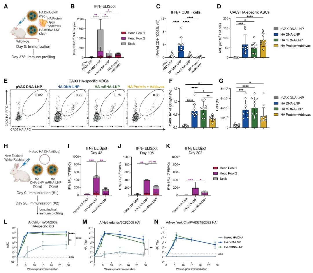 Cell Rep Med | DNA疫苗新突破！新型DNA-LNP递送技术实现长效免疫医药新闻-ByDrug-一站式医药资源共享中心-医药魔方