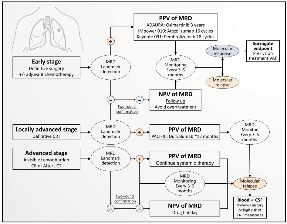 【MRD OnLine · 名家访谈】 周清教授：继往开来 · MRD在肺癌适应性治疗中的价值探索医药新闻-ByDrug-一站式医药资源共享中心-医药魔方