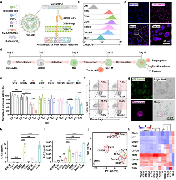 谭蔚泓院士团队开发基于mRNA-LNP的腹膜内原位CAR-M疗法，联合ICB疗法协同治疗腹膜扩散型晚期实体瘤医药新闻-ByDrug-一站式医药资源共享中心-医药魔方