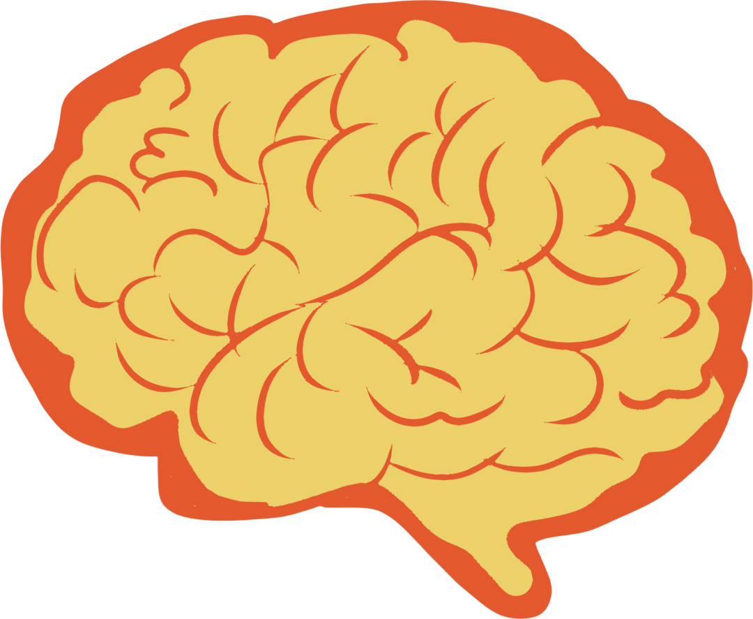 登上Cell | 碧迪单细胞助力揭示胎脑发育形态完整及损伤修复机制医药新闻-ByDrug-一站式医药资源共享中心-医药魔方