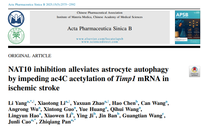 APSB丨潘志强团队揭示NAT10调控ac4C修饰，或成为缺血性卒中治疗新靶点医药新闻-ByDrug-一站式医药资源共享中心-医药魔方