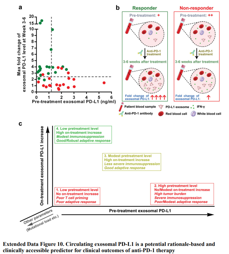 EVP-IB计划|外泌体PD-L1助力肿瘤免疫治疗应答预测及进展监测医药新闻-ByDrug-一站式医药资源共享中心-医药魔方