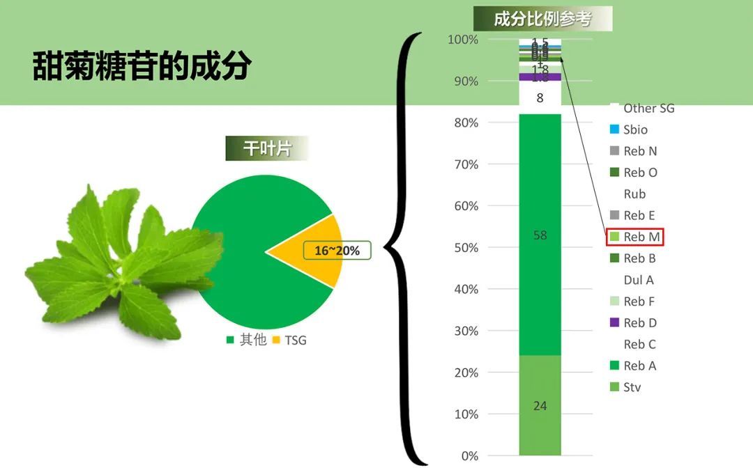 【已投企业动态】中国首家，甜菊糖革命性升级！弈柯糖酶转化Reb M是什么？医药新闻-ByDrug-一站式医药资源共享中心-医药魔方