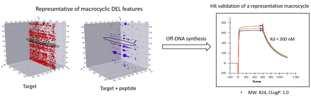 DEL for大环化合物医药新闻-ByDrug-一站式医药资源共享中心-医药魔方