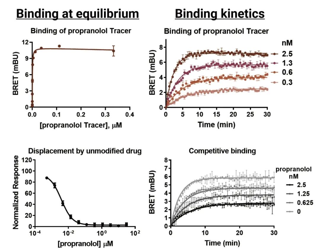 技术 | 利用HiBiT标签与NanoBRET™ TE技术研究GPCRs与配基结合医药新闻-ByDrug-一站式医药资源共享中心-医药魔方