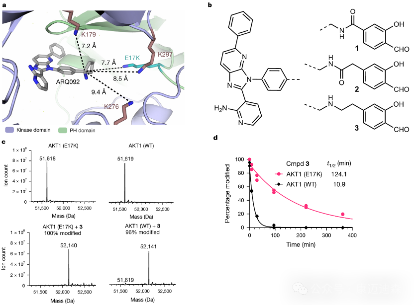Nature: 共价结合赖氨酸和新型锌离子螯合的突变体选择性AKT抑制剂医药新闻-ByDrug-一站式医药资源共享中心-医药魔方