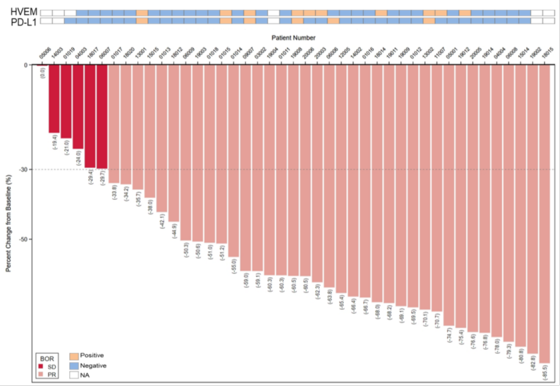 ORR达86%，DCR 100%！抗BTLA单抗tifcemalimab联合特瑞普利单抗和化疗一线治疗ES-SCLC数据首次公布医药新闻-ByDrug-一站式医药资源共享中心-医药魔方