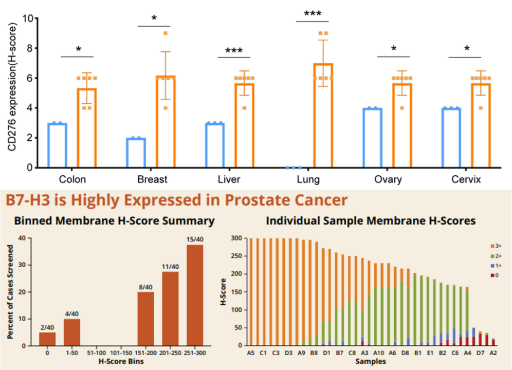 被刷屏的B7-H3，有哪些靶向疗法？医药新闻-ByDrug-一站式医药资源共享中心-医药魔方