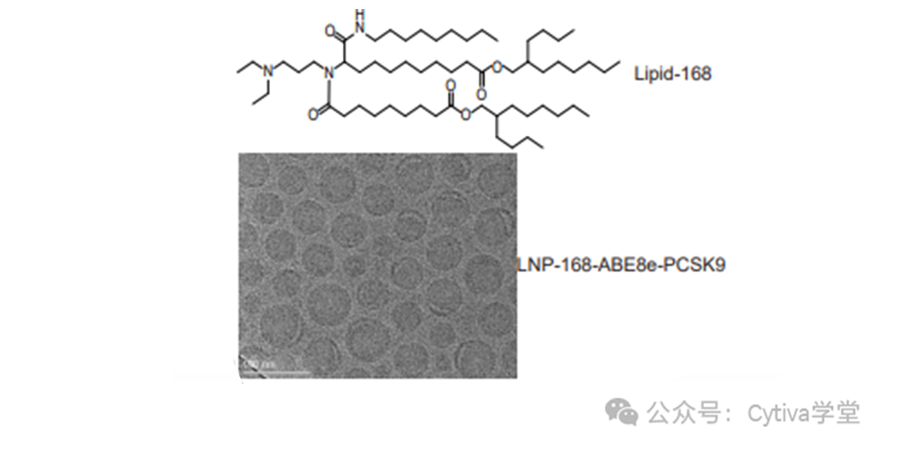前沿进展：优化LNP进行体内造血干细胞递送医药新闻-ByDrug-一站式医药资源共享中心-医药魔方
