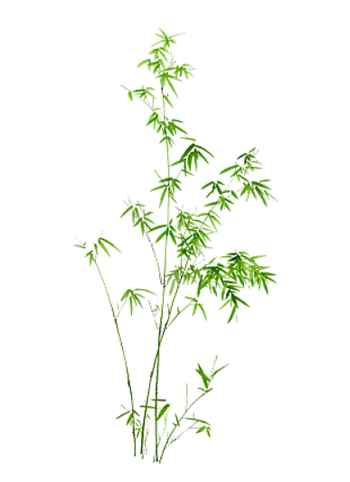 国产重组带状疱疹疫苗LZ901完成美国Ⅰ期临床试验医药新闻-ByDrug-一站式医药资源共享中心-医药魔方