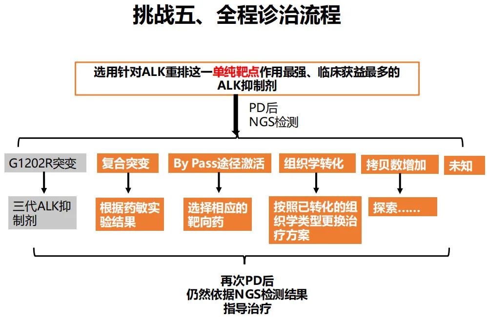 宋勇教授：ALK阳性非小细胞肺癌治疗面临的5个挑战医药新闻-ByDrug-一站式医药资源共享中心-医药魔方