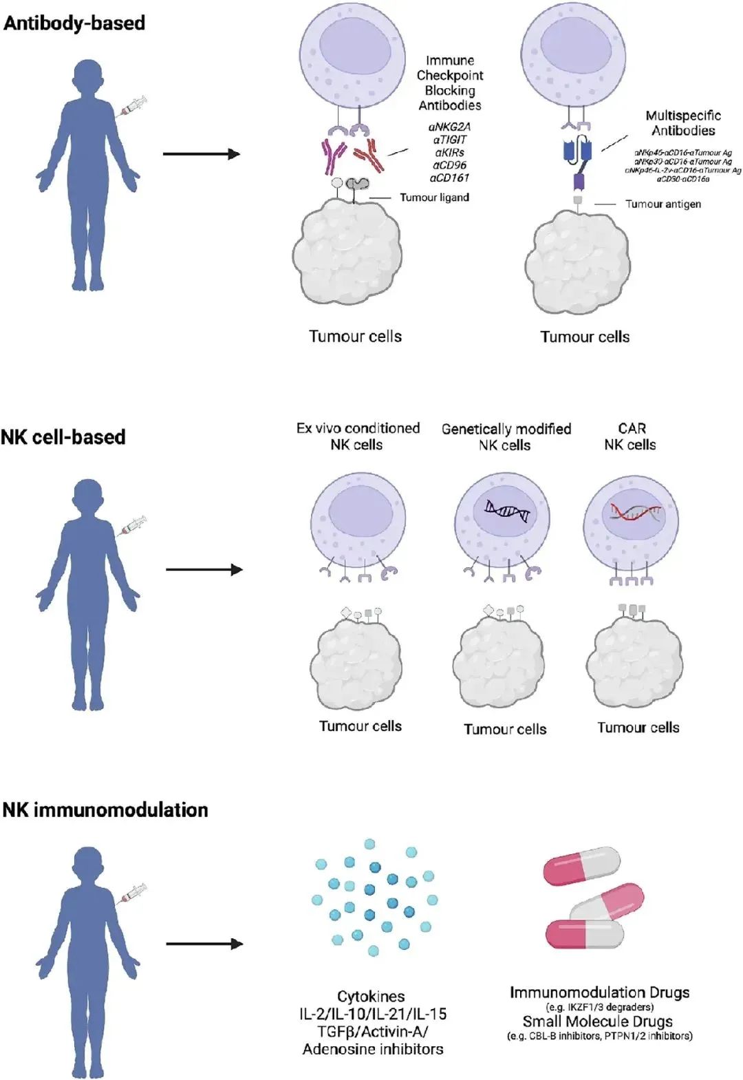 NK细胞疗法再进化：不只是剿杀癌细胞，而且还会“调教免疫系统”医药新闻-ByDrug-一站式医药资源共享中心-医药魔方