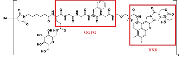 百济的ADC专利布局医药新闻-ByDrug-一站式医药资源共享中心-医药魔方