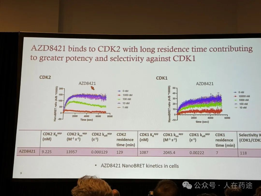AACR24 | CDK2抑制剂AZD8421结构首次公开医药新闻-ByDrug-一站式医药资源共享中心-医药魔方