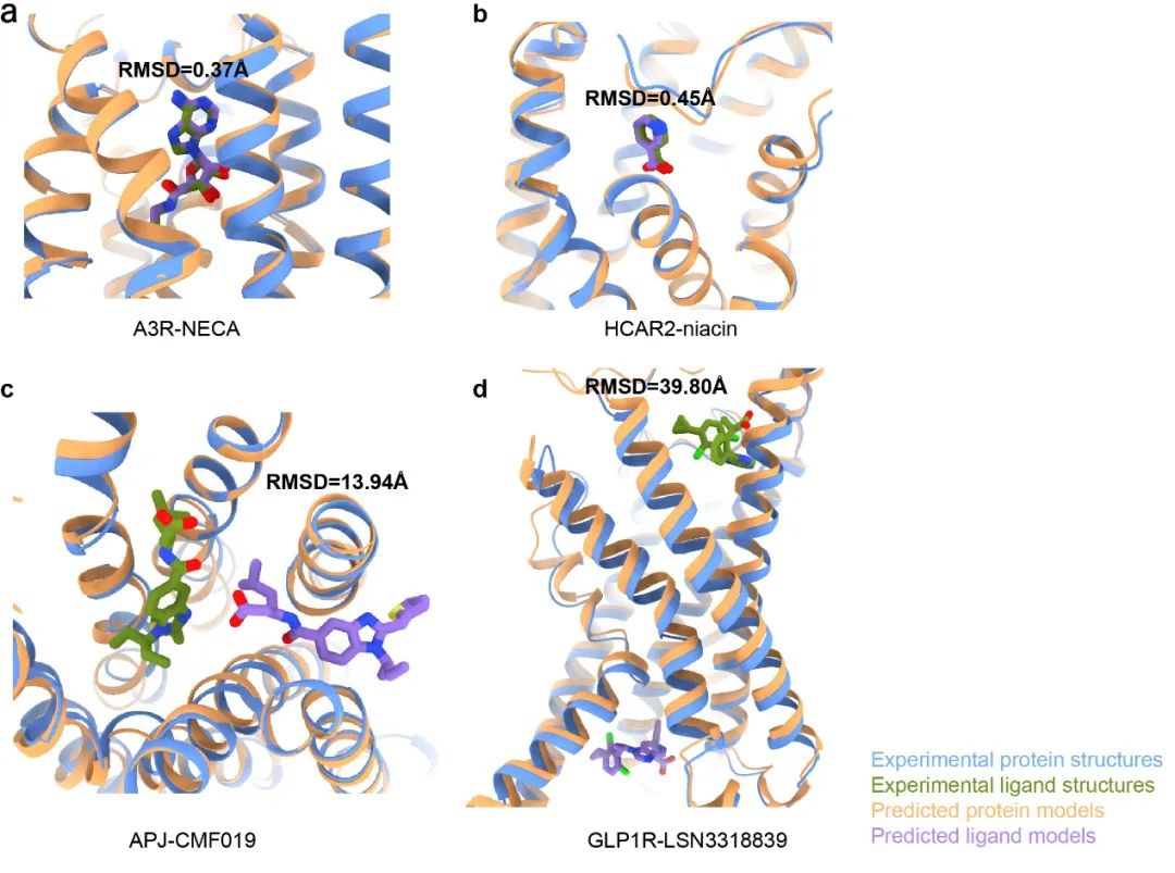 APS｜AlphaFold3预测的GPCR-小分子复合物评测医药新闻-ByDrug-一站式医药资源共享中心-医药魔方