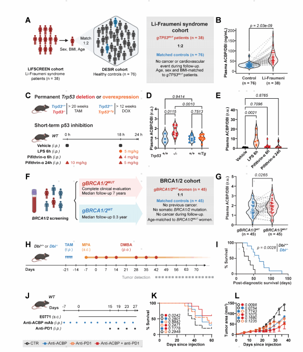 ACBP/DBI：癌症诊断的“新宠”，免疫逃逸的“破局者”医药新闻-ByDrug-一站式医药资源共享中心-医药魔方