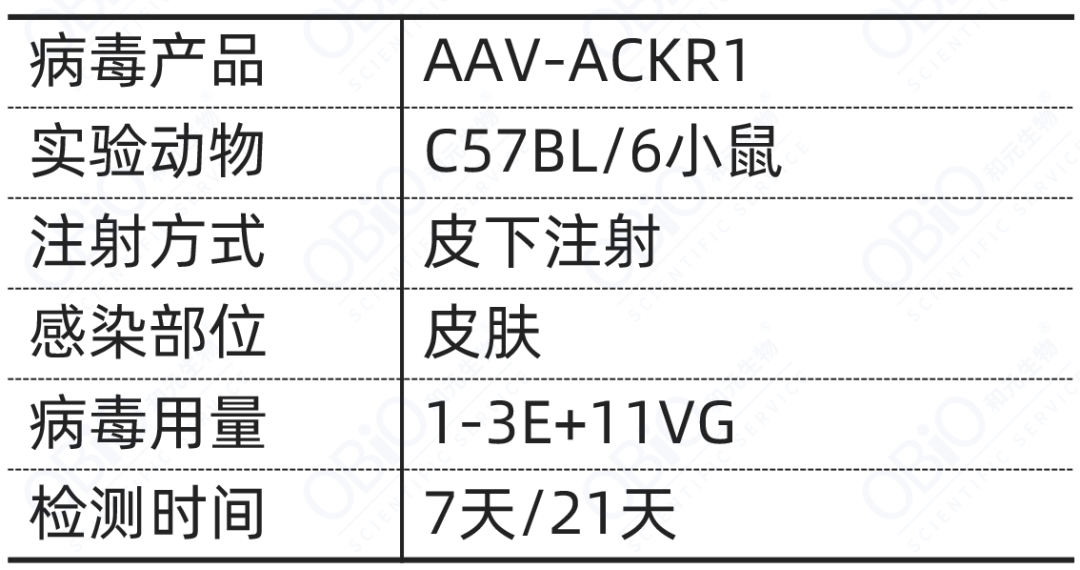 【on-target】AAV感染皮肤 | 血清型·启动子·注射用量 | 一篇就GO了！医药新闻-ByDrug-一站式医药资源共享中心-医药魔方