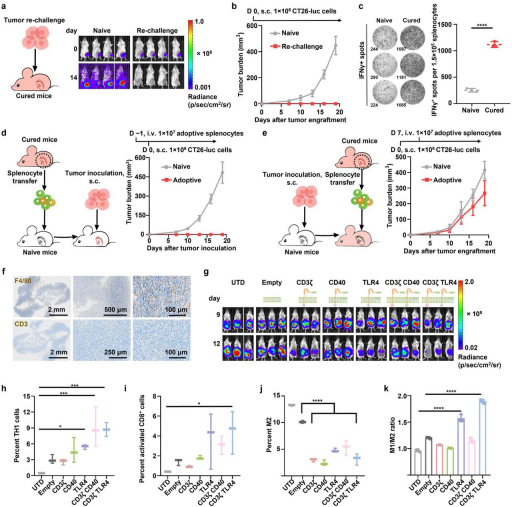 谭蔚泓院士团队开发基于mRNA-LNP的腹膜内原位CAR-M疗法，联合ICB疗法协同治疗腹膜扩散型晚期实体瘤医药新闻-ByDrug-一站式医药资源共享中心-医药魔方