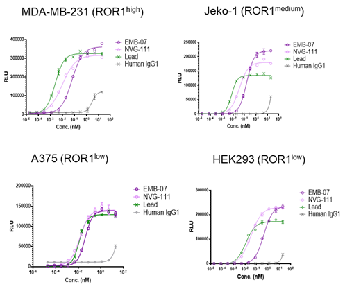 T cell engager（TCE）双特异性抗体研发策略医药新闻-ByDrug-一站式医药资源共享中心-医药魔方