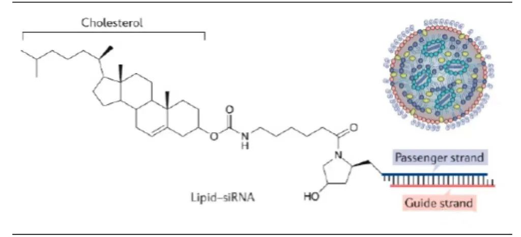 RNA靶向药物的生产工艺优化策略医药新闻-ByDrug-一站式医药资源共享中心-医药魔方