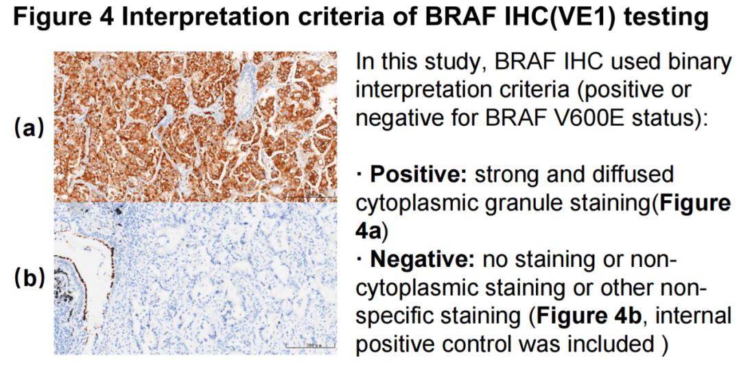 我国研究证实：BRAF V600突变IHC检测，与RT-PCR/NGS检测的一致性＞99%医药新闻-ByDrug-一站式医药资源共享中心-医药魔方