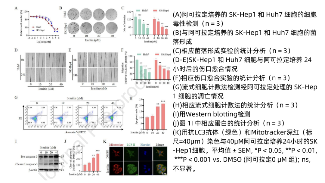 机制明晰：阿可拉定诱导肝癌线粒体自噬-细胞凋亡，发挥抗HCC作用医药新闻-ByDrug-一站式医药资源共享中心-医药魔方